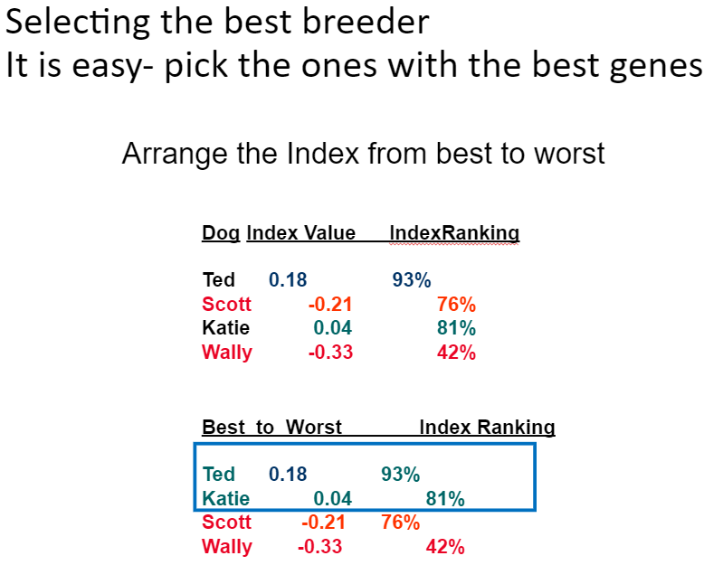 IWDR Features – International Working Dog Registry