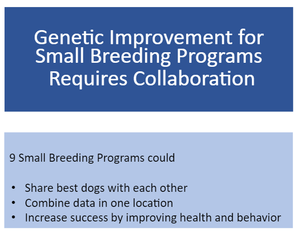 IWDR Features – International Working Dog Registry