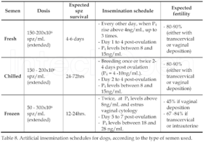 Maximizing Litter Size − Timing When to Inseminate – International ...